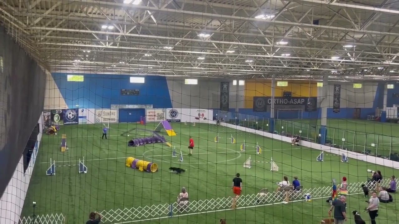 Snap! UKI Midwest Cup - Masters Agility