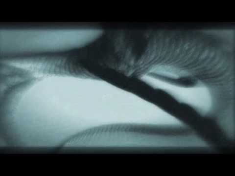 :: cephalopodophilia ::