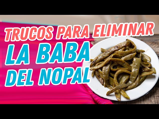 ¿Cómo hacer nopales asados en sartén o parrilla? 3 formas de presentarlos