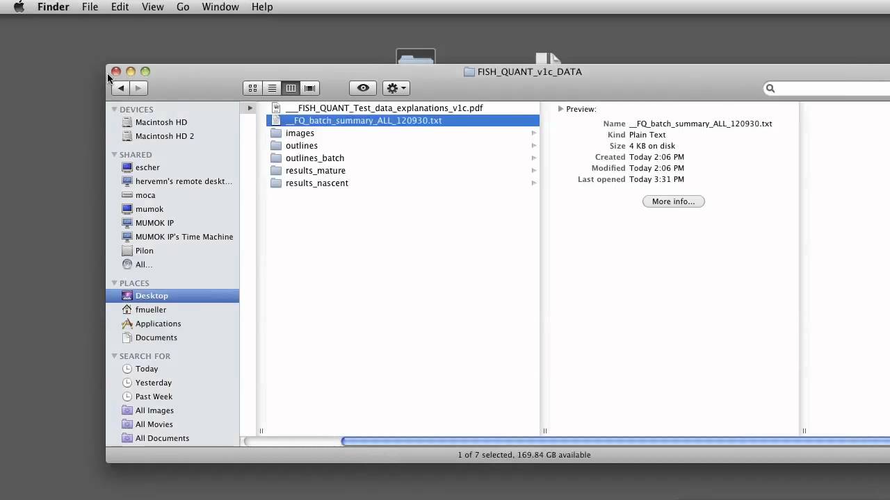 FISH-QUANT: how to work with test data