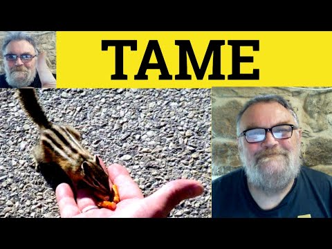 😎 Tame Meaning - Tame Definition - Tame Examples - Tame Defined - Tame