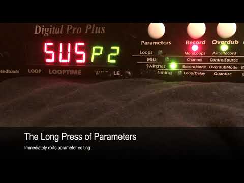 Two Gibson Echoplex Digital Pro Plus Units | Reverb