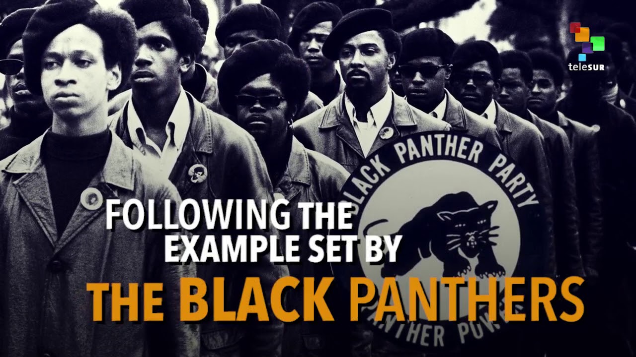 Brown Berets: Chicano Revolutionaries