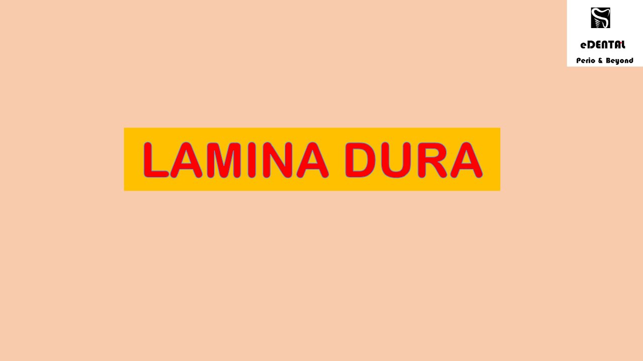 Lamina Dura - Clinical Significance and Radiographic Features