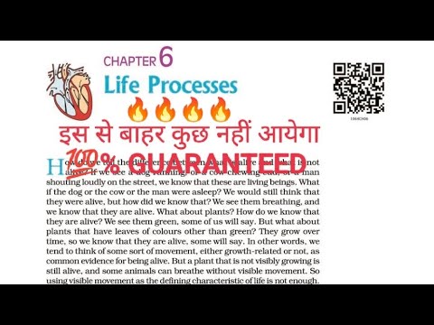 LIFE PROCESS CLASS 10 NOTES | LIFE PROCESSES CLASS 10 NOTES PDF NCERT | LIFE PROCESS IN ONE SHOT