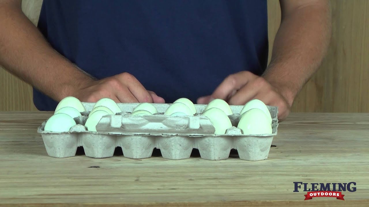Chicken Egg Cartons - Paper