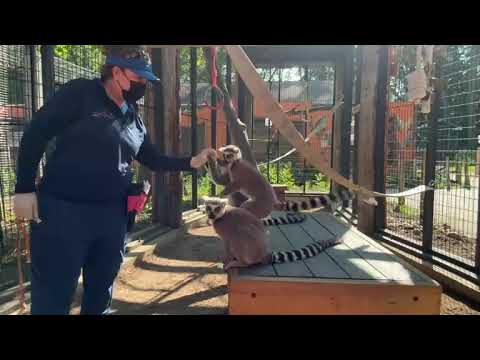 Coffee with the Critters - Harness Training