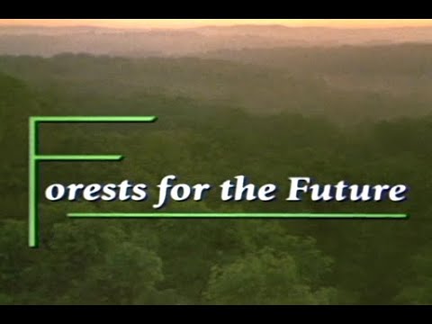 Forests for the Future (1991)
