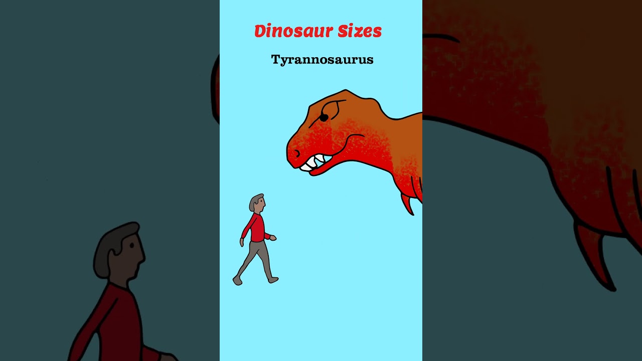Dinosaur Size Comparison  #Compsognathus #Stegosaurus #Tyrannosaurus #comparison