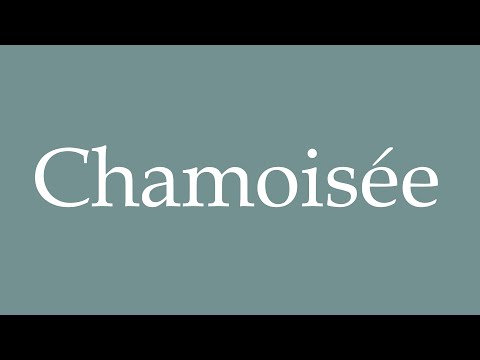 How to Pronounce ''Chamoisée'' Correctly in French
