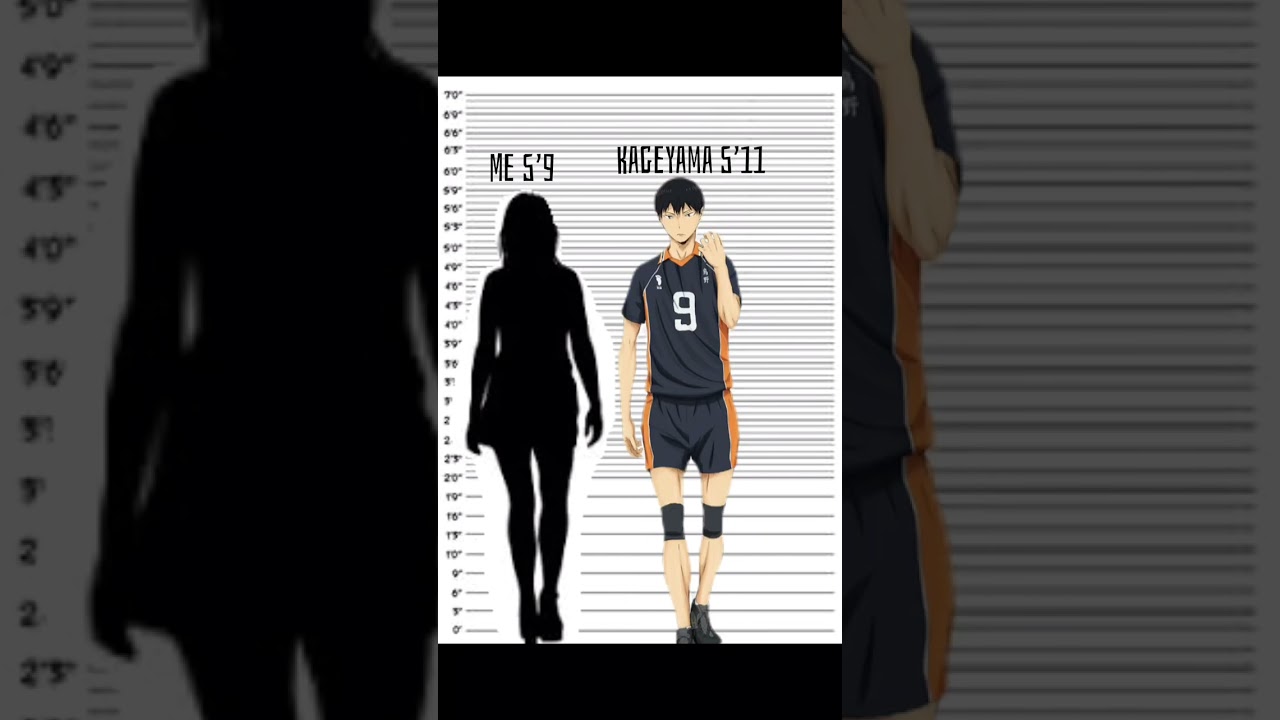 I compared my height to the heights of Haikyuu characters! Enjoy! Toodles~~~ ❤️❤️❤️