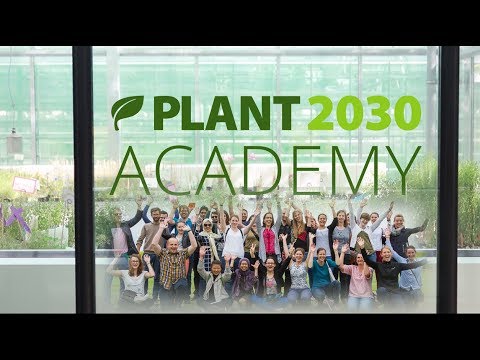 What is the PLANT 2030 ACADEMY? Tailor-made support for early stage plant scientists!