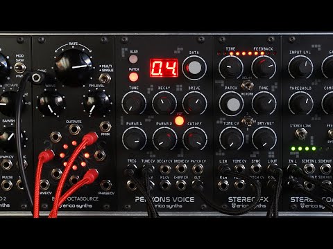 Erica Synths Perkons Voice | Reverb