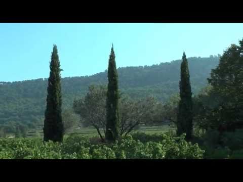 Home holiday rental in Sablet South of France in the Provence. Luxury villa Floravine for rent