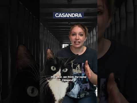 Unique cat names #cats #catlover #catnames #pets