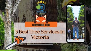 3 Best Tree Services in Victoria, BC - Expert Recommendations