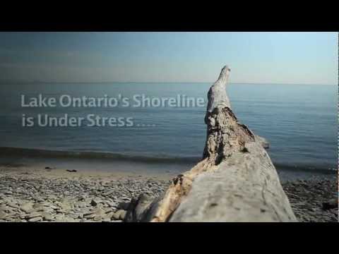 PSA - Lake Ontario's Shoreline is Under Stress