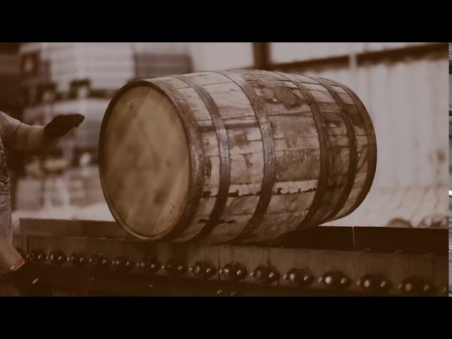 Apex Ammunition Store - High quality tungsten super shot shells