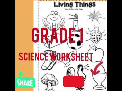 Grade 1 science worksheet
