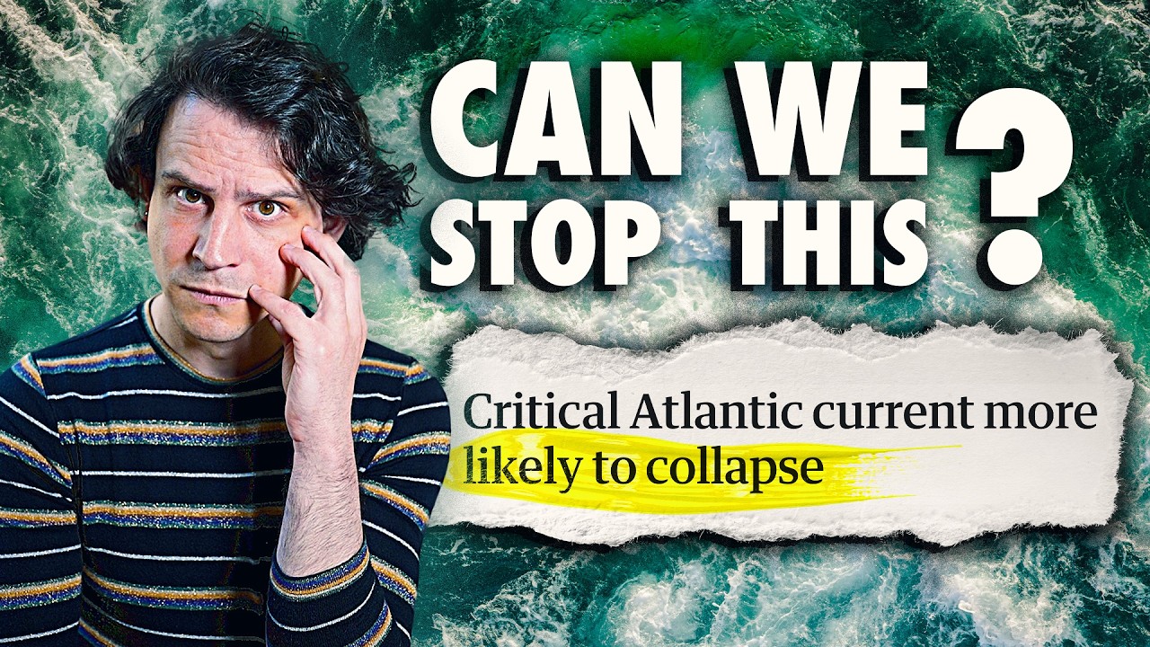 Our Oceans Are Tipped To Collapse: Can we still act?