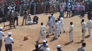 10 Things to Do in Goz Beida Zoo, Chad | Gems.Travel