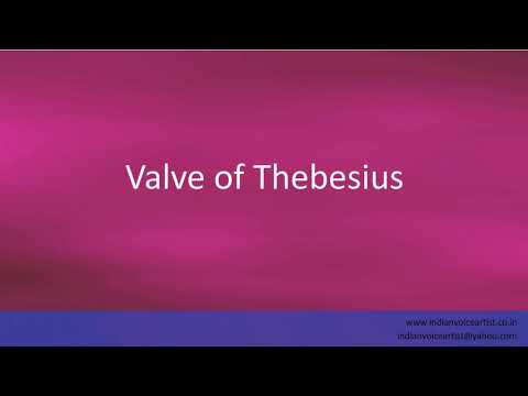 Pronunciation of the word(s) "Valve of Thebesius".