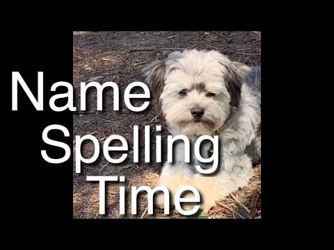Learn to spell, Spell your name Ally, Name spelling video