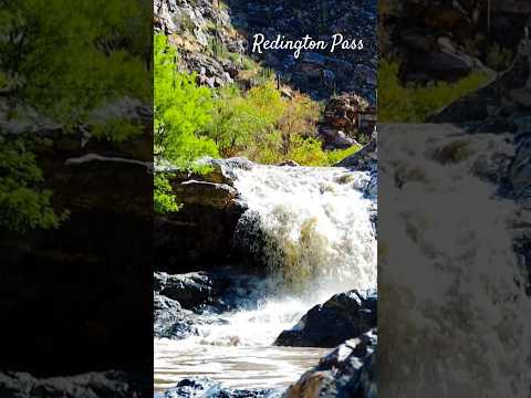 Exploring Redington Pass in Tucson. #AZ #foryou #fyp #explore #outdoors #hiking #nature #walking