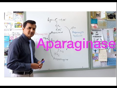 Peg L-Asparaginase Injection - L-Aspara Latest Price, Manufacturers ...