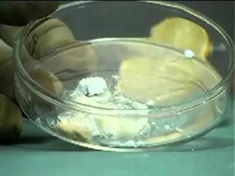 10. Citric Acid test for carbonates - Acids, Bases and Salts