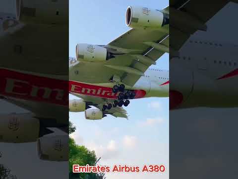 How many seats Emirates Airbus A380 have ✈️ #emirates #A380 #Emirates_airbus_a380