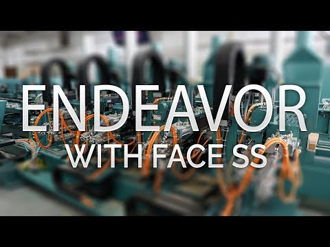 Endeavor Face SS