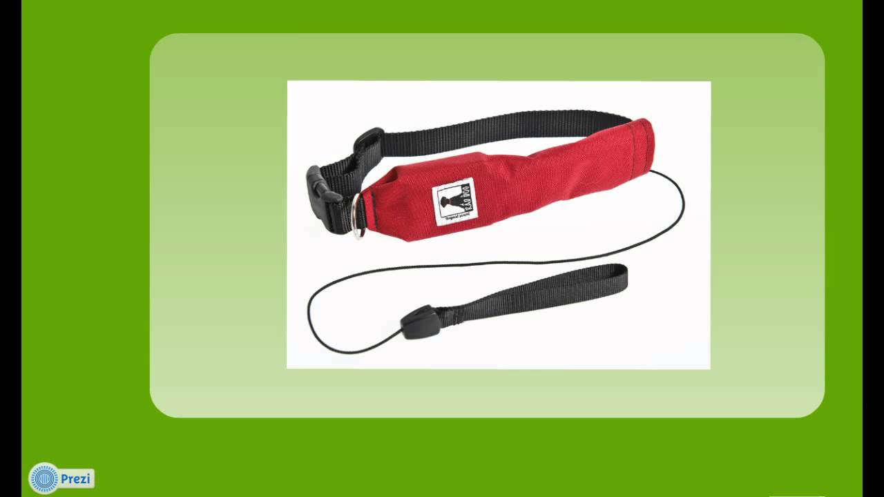 Ez Leash