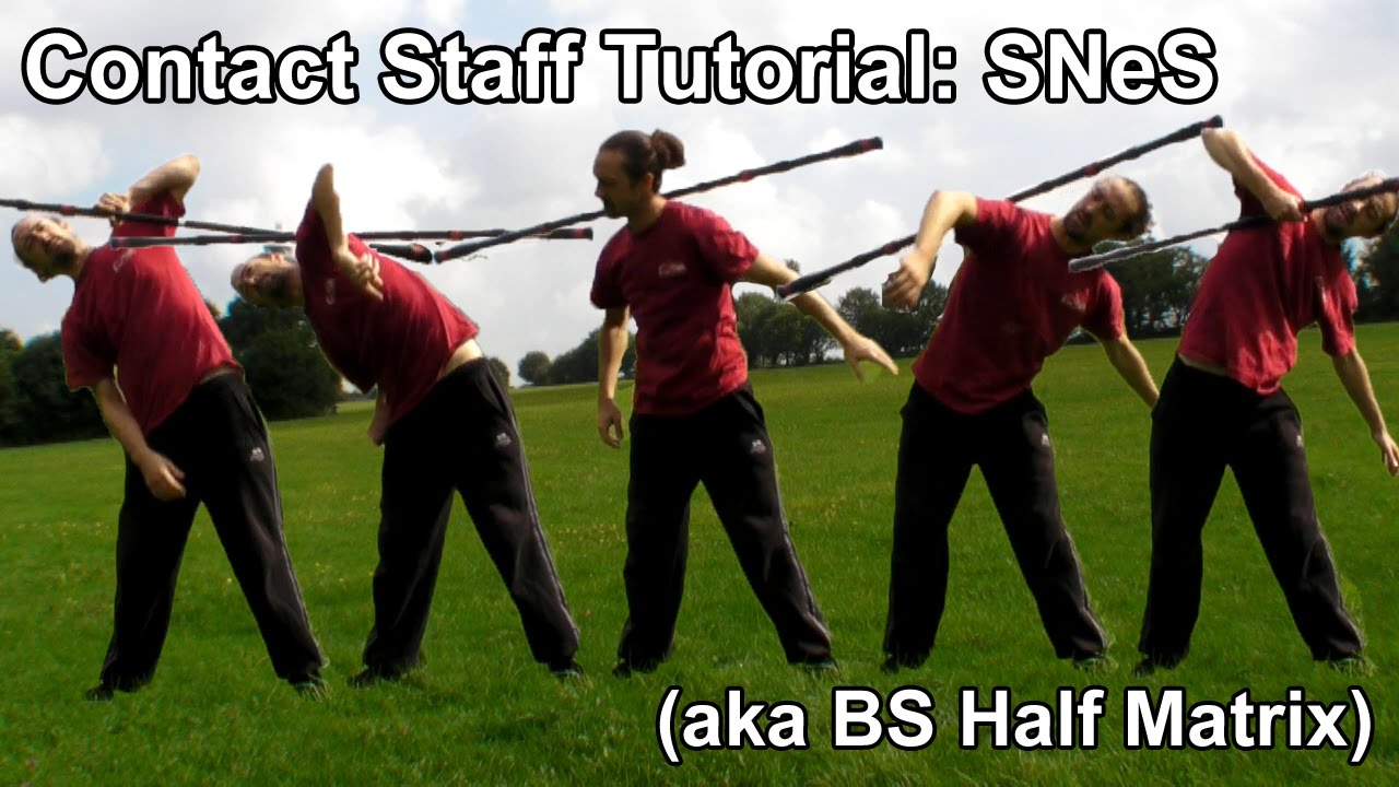 Contact Staff Tutorial: SNeS (Half Matrix)