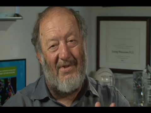 Irv Weissman: Differences between Adult and Embryonic Stem Cells