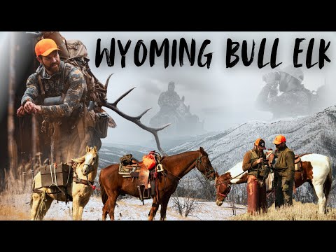 DIY Horseback Elk Hunt | General Tag on Public Land