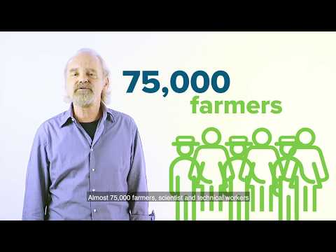 CIMMYT Annual report 2017: maize and wheat for improved livelihoods