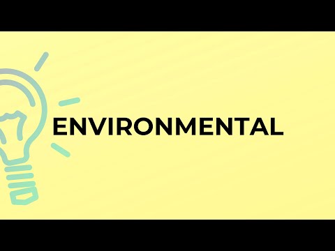 What is the meaning of the word ENVIRONMENTAL?