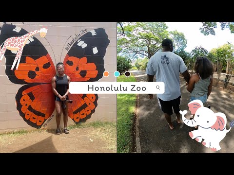 Don’t waste your time| Honolulu Zoo Review