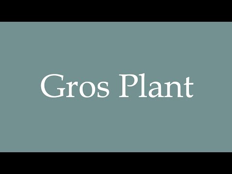 How to Pronounce ''Gros Plant'' (Big Plant) Correctly in French