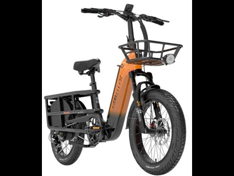 LANKELEISI Wombat-1 Cargo Electric Bike, 1000W Motor, 48V 20Ah Battery, 20*3.0 inch Tires EU9.NL