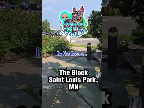 Adventures of a Frenchie: Big Mac Reviews The Block SLP, #mn #dog #review #foodreview #frenchie