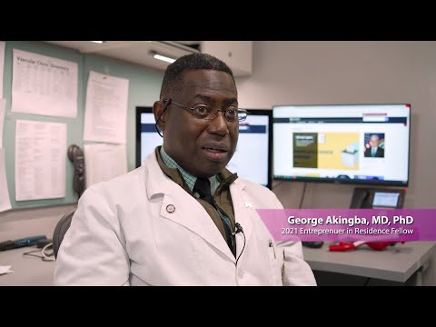 VHA IE Fellowships - Program Overview