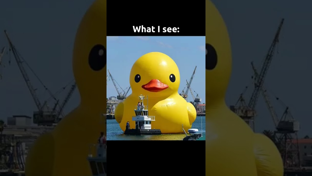 The True size of USS Iowa. #meme #history #education