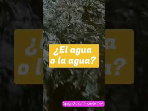 Grammatica spagnola - "agua" è femminile o maschile? #shorts #grammaticaspagnolo #español