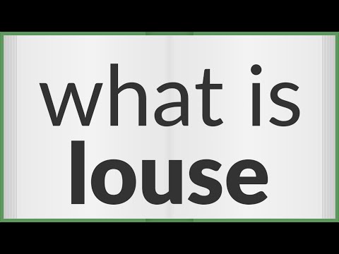 Louse | meaning of Louse