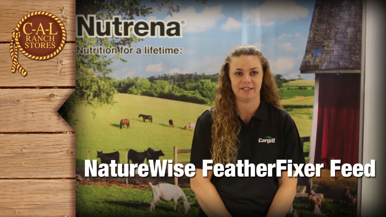 Nutrena NatureWIse FeatherFixer