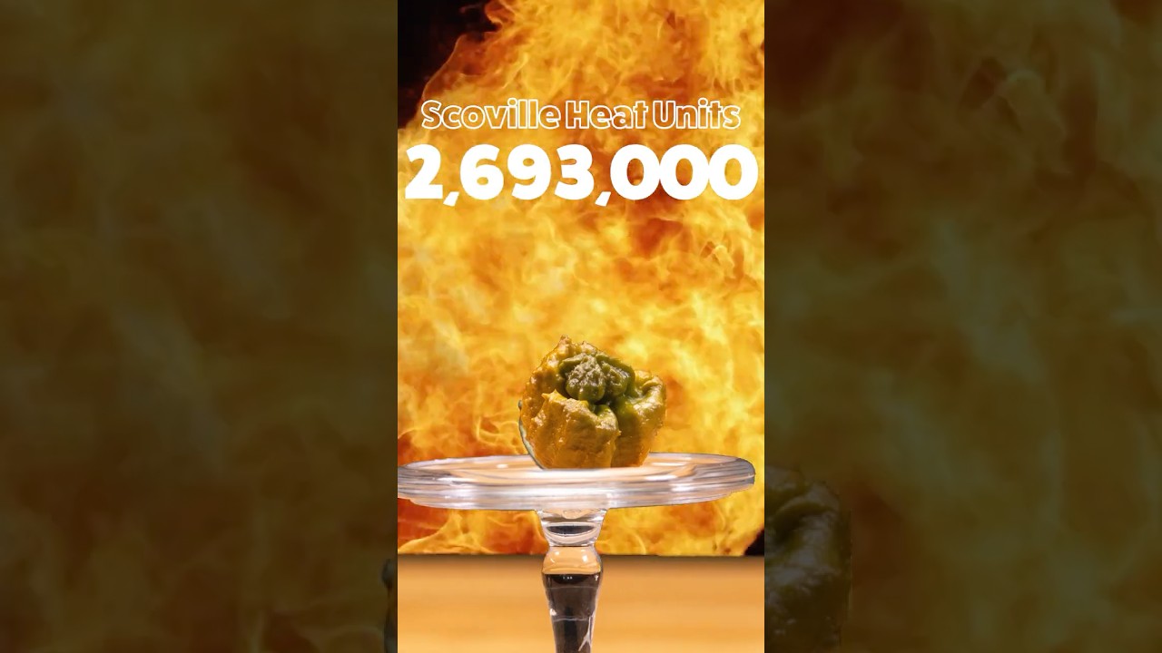 Hottest chilli pepper - Pepper X - Guinness World Records