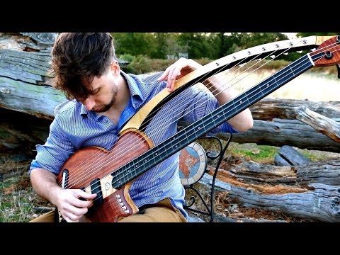 Barton Basses 11-String Harp Bass | Reverb