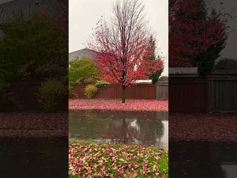 Canadian seasons in 6 seconds
